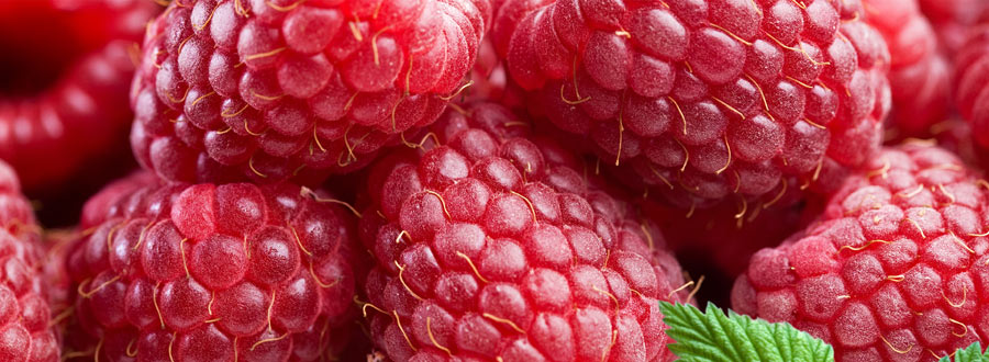 よく治療対象となる過敏症 | Allertek Systems Japan - アラテック・ジャパン 公式サイト