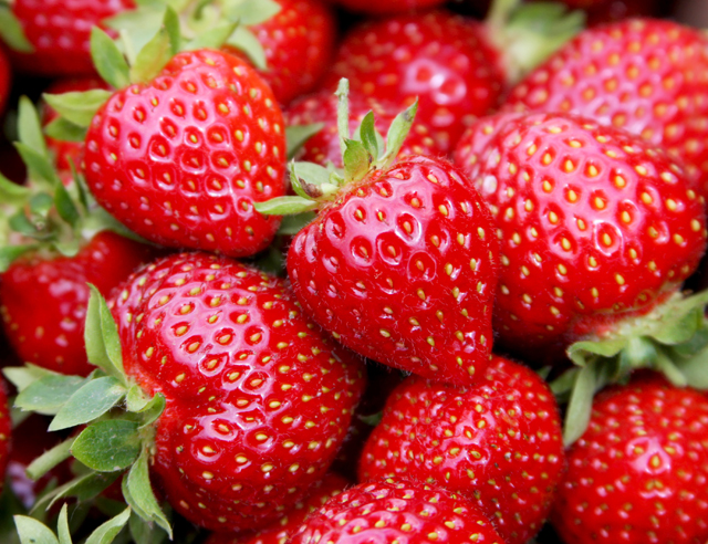 よくあるご質問 | Allertek Systems Japan - アラテック・ジャパン 公式サイト